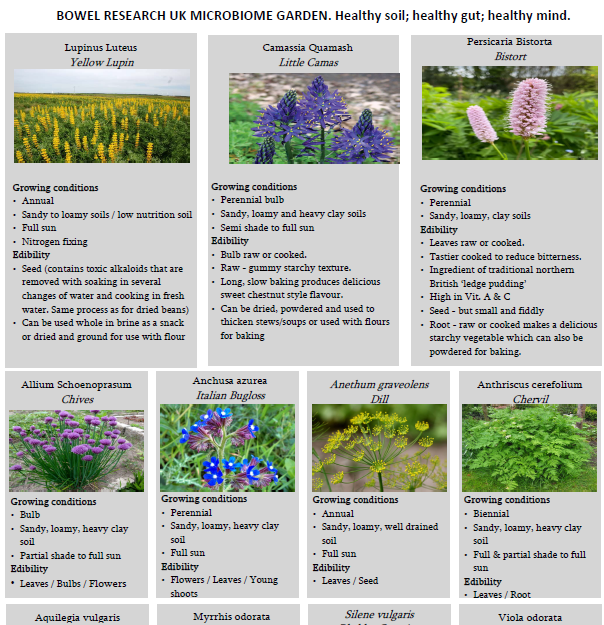 Chelsea Flower Show - Bowel Research UK :Bowel Research UK